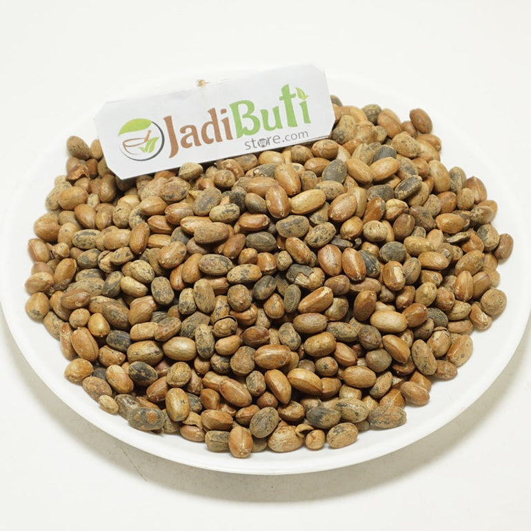 Jamal ghota – Jadibuti Store