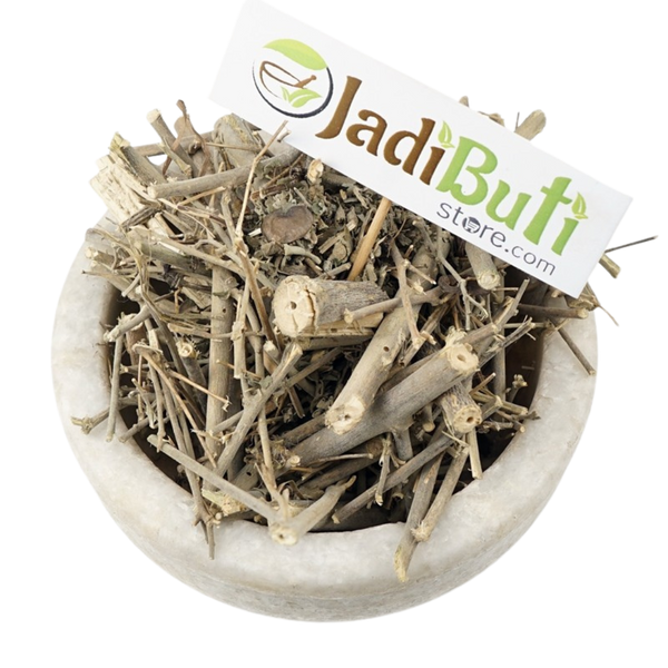 Atibala अतिबाला Kanghi - Indian Mallow - Abutilon indicum – Jadibuti Store