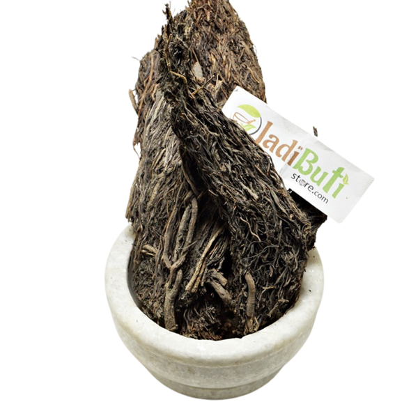 Badh dadhi ( Bargad ) - बड दाढ़ी - Banyan - Ficus Benghalensis ...
