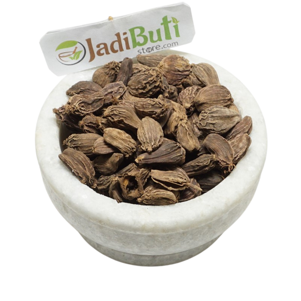 Badi Elaichi - बड़ी इलाइची - Black Cardamom - Amomum subulatum Roxb ...