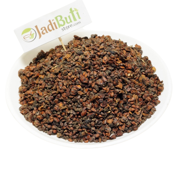 Bedana - बेदाना - Lythraceae - Pomegranate – Jadibuti Store