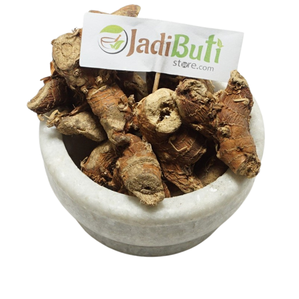 Kulanjan Root - कुलंजन - Colic Root - Alpinia Galanga – Jadibuti Store
