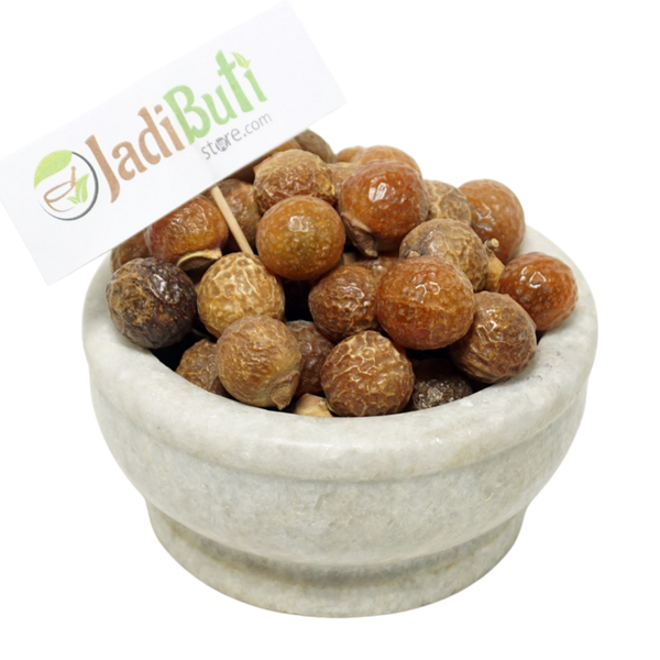 Reetha - Ritha - Soap Nut - Indian soapberry – Jadibuti Store