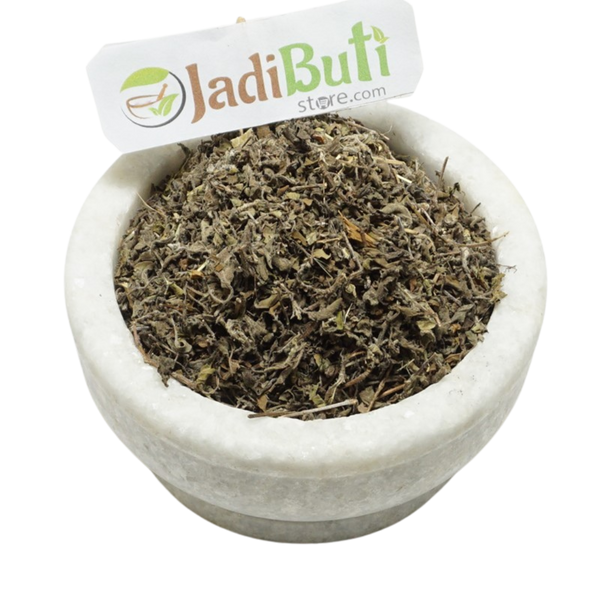 Tulsi patta - तुलसी पत्ता - holy basil - Ocimum sanctum – Jadibuti Store