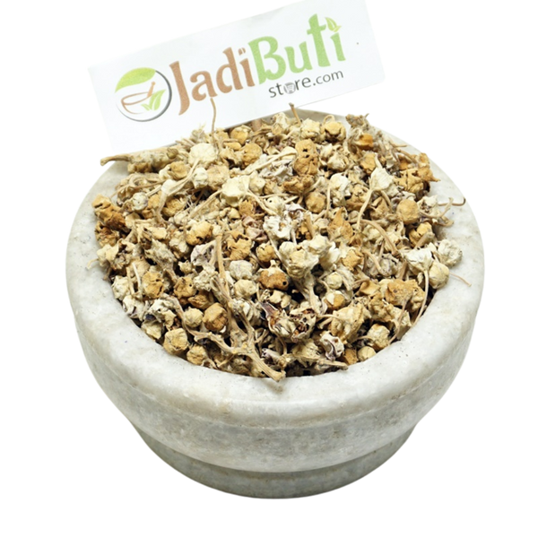 AAK - आक फूल - MADAR - Calotropis Gigantea – Jadibuti Store